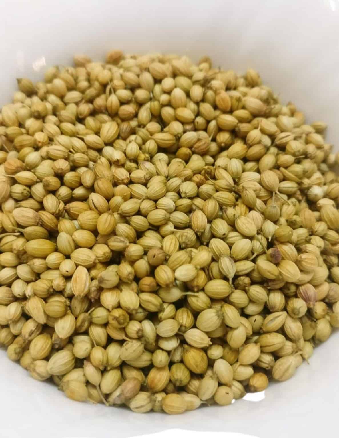 7 Best Substitute For Coriander Seeds - Fit Meal Ideas