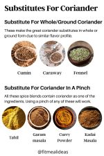 7 Best Substitute For Coriander Seeds - Fit Meal Ideas