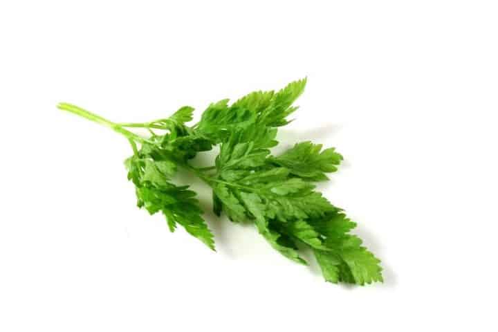 13 Best Substitutes For Parsley (How & When To Use) - Fit Meal Ideas