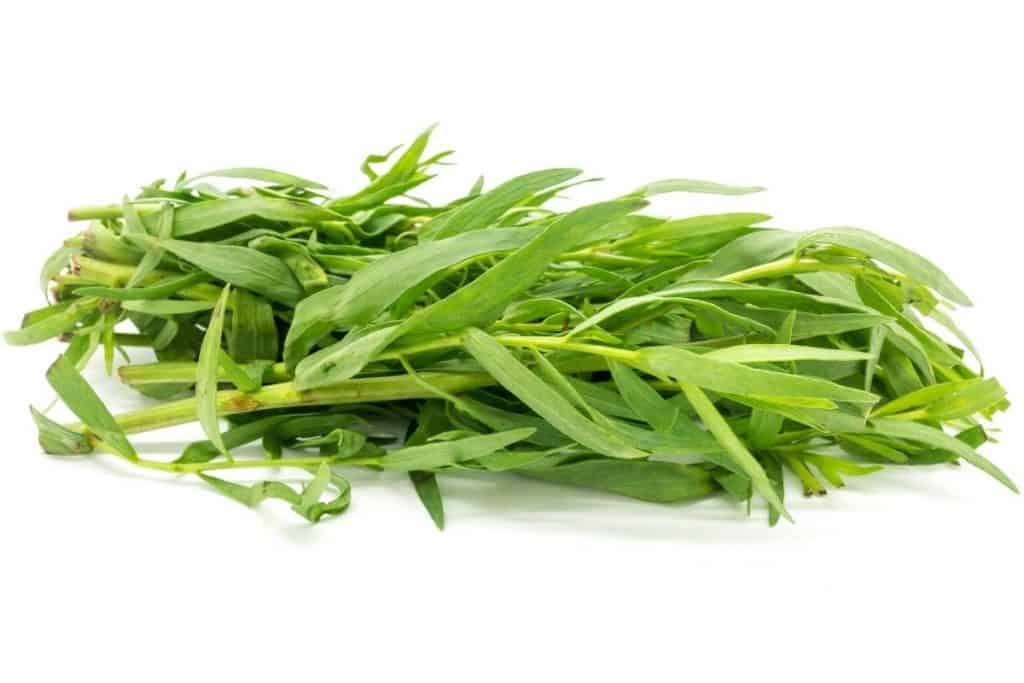 13 Best Substitutes For Parsley (How & When To Use) - Fit Meal Ideas