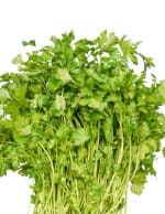 13 Best Substitutes For Parsley (How & When To Use) - Fit Meal Ideas