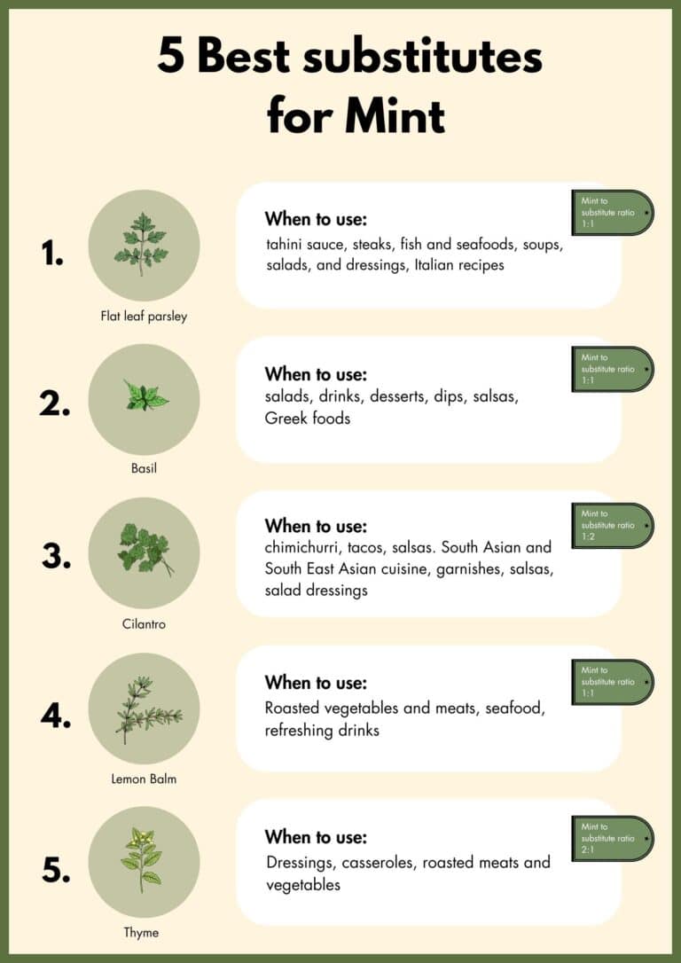 5 Best Substitutes For Mint - Fit Meal Ideas