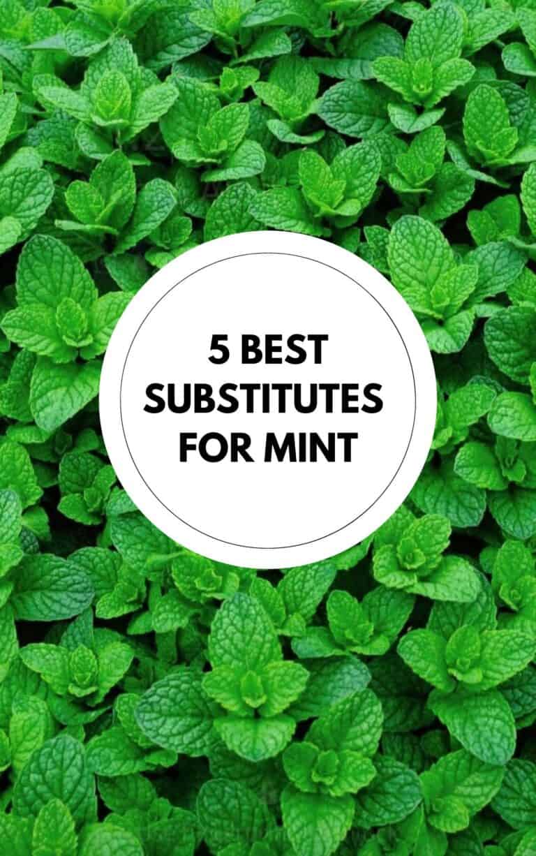 5 Best Substitutes For Mint - Fit Meal Ideas