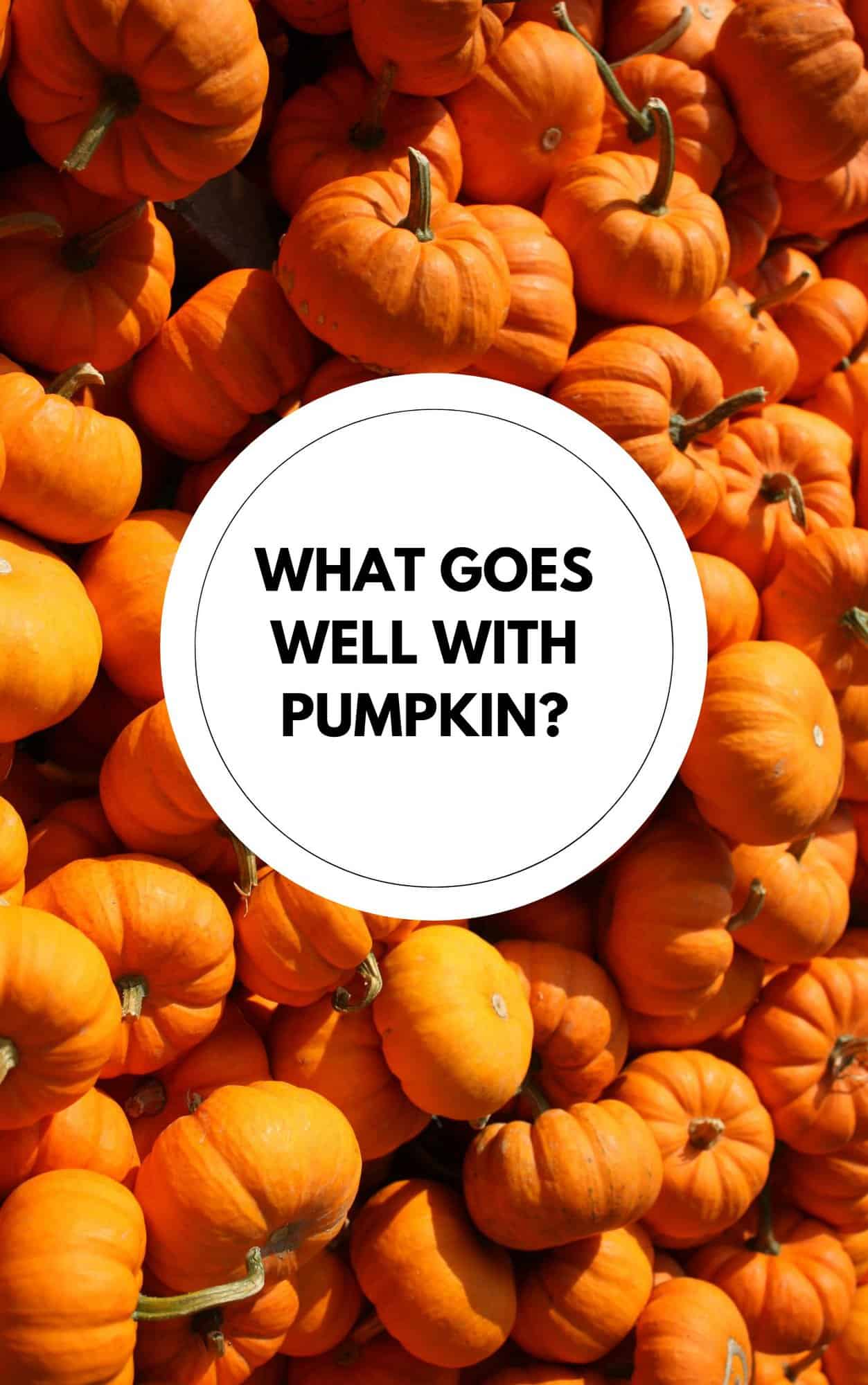 What Goes Well With Pumpkin? - Fit Meal Ideas